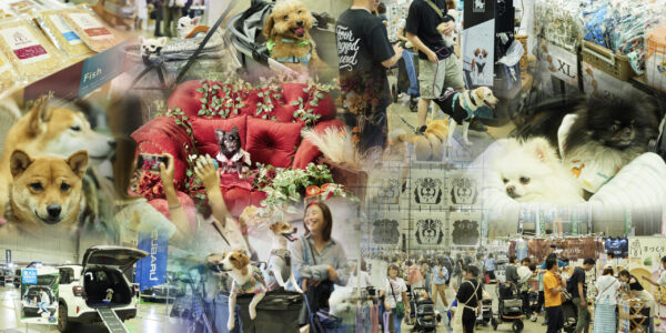 東京ドッグショー2026 | TOKYO DOG SHOW 2026 - TOP