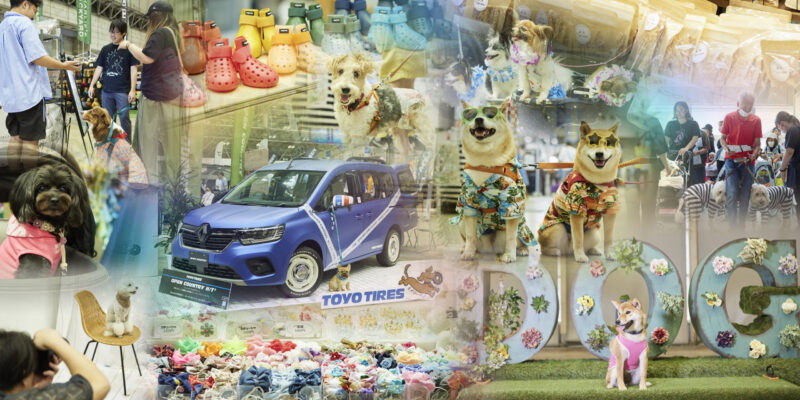 東京ドッグショー2026 | TOKYO DOG SHOW 2026 - TOP