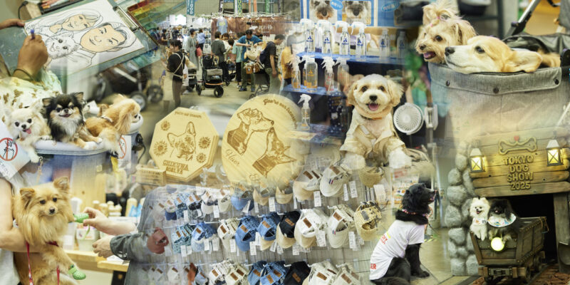 東京ドッグショー2026 | TOKYO DOG SHOW 2026 - TOP